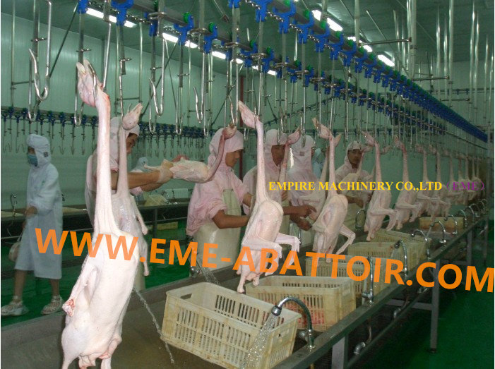 Poultry/broiler abattoir equipment series-Qingdao Empire Machinery Co ...